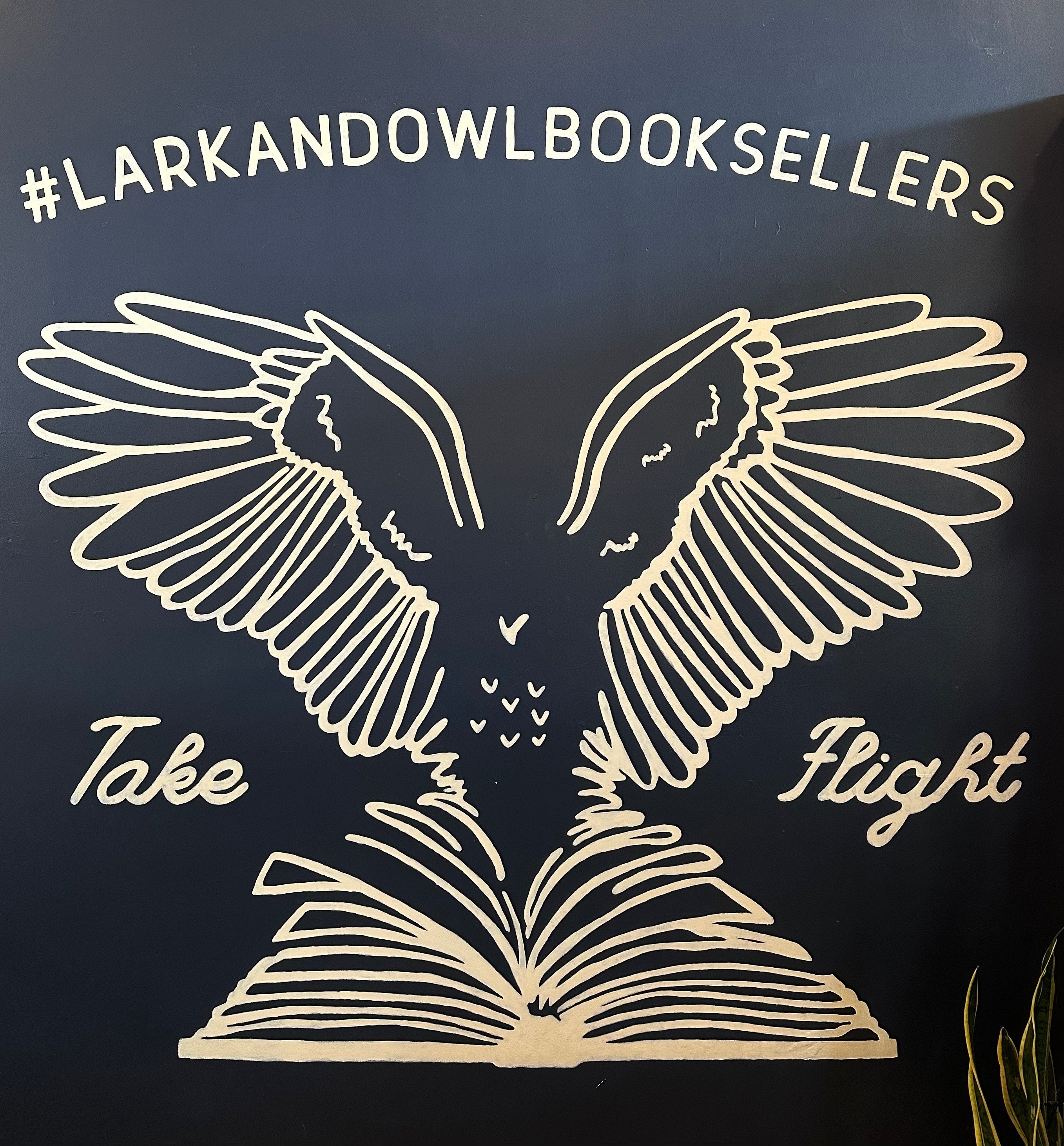 Shopping – Lark & Owl Booksellers